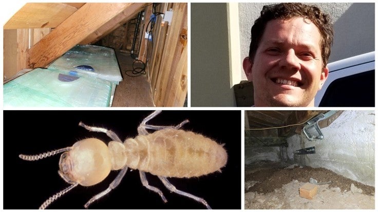 Formosan Termites Confirmed in Two New Southern California Locations Department of Entomology